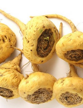 Maca Peruana, você ja ouviu falar ou conhece? | Buddha Spa